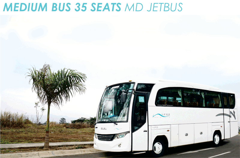 SEWA BUS I BUS PARIWISATA I NESS TRANS I BUS PARIWISATA BANDUNG I SEWA ...